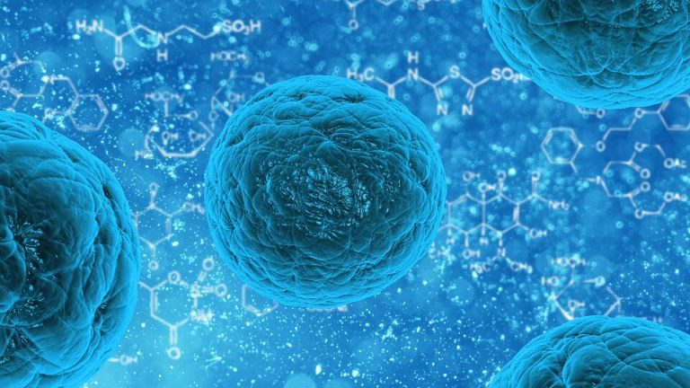What is ScanBalt BioRegion? - InnoHEALTH magazine
