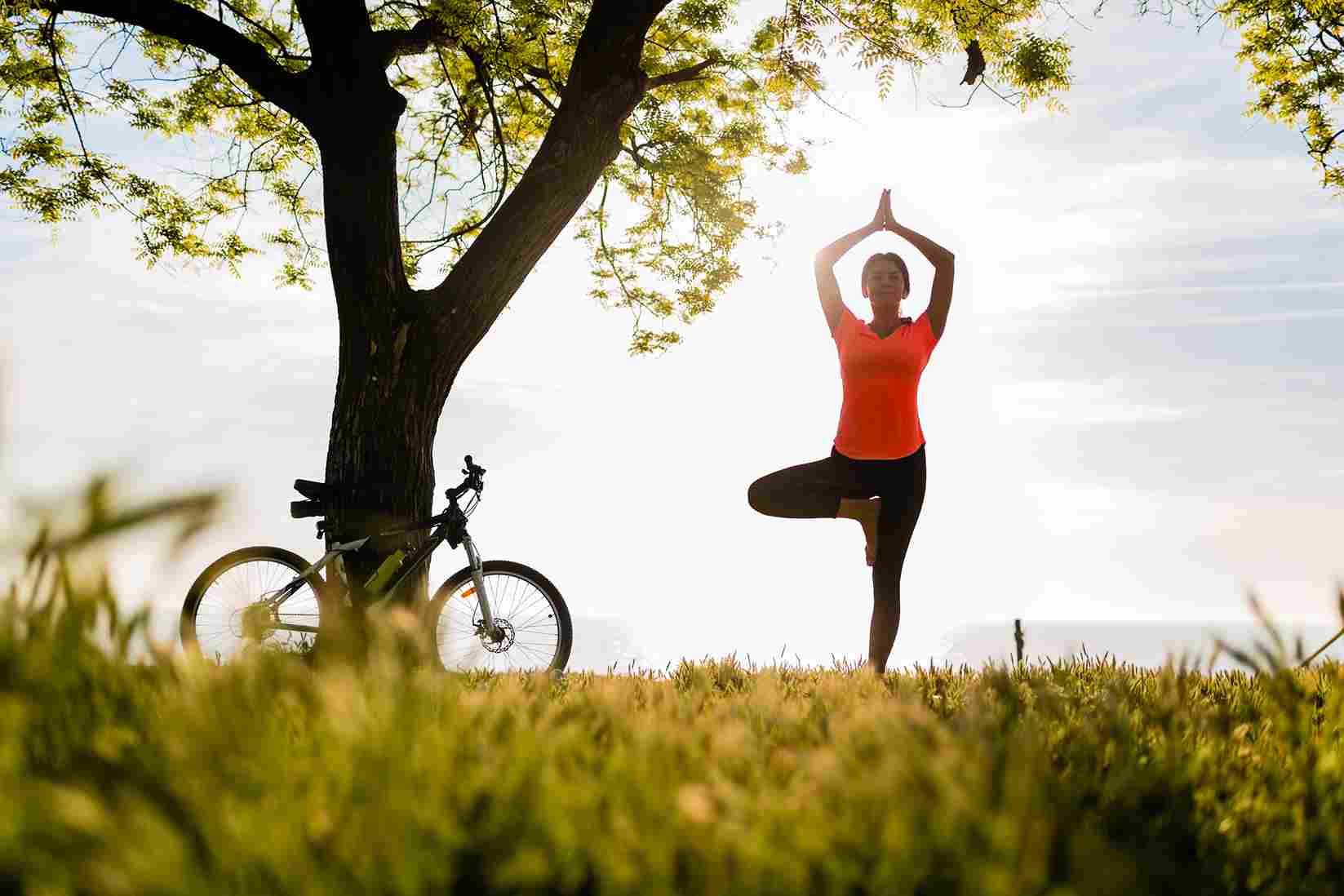 STRONG BODY, STRONG MIND: The interconnection of physical and mental ...